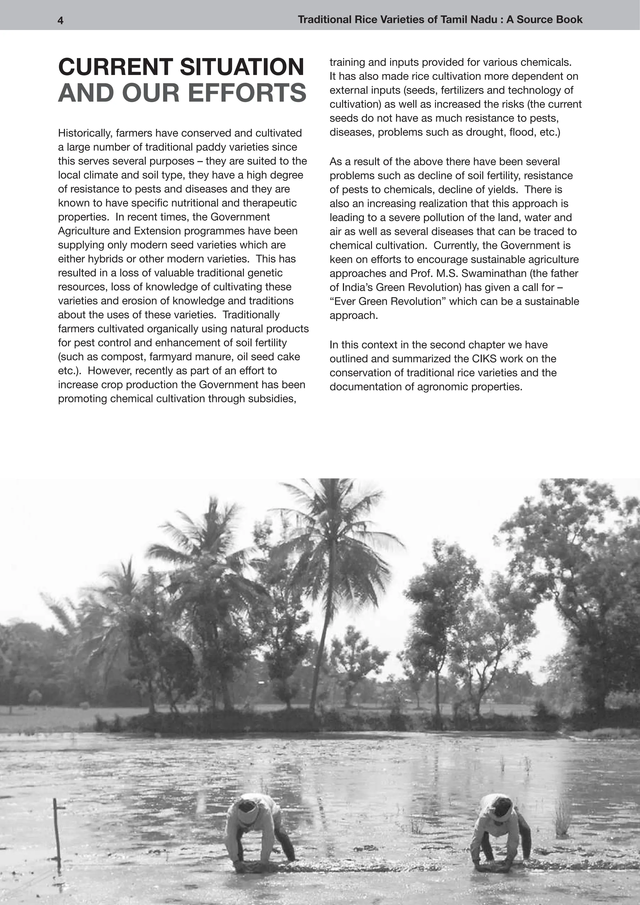 Traditional-Rice-Varieties-of-Tamilnadu_compressed.pdf