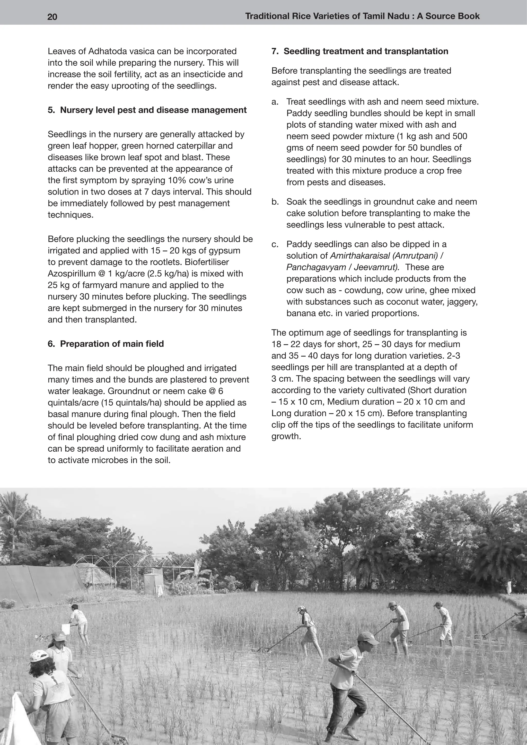 Traditional-Rice-Varieties-of-Tamilnadu_compressed.pdf