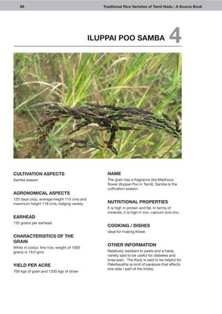 Traditional-Rice-Varieties-of-Tamilnadu_compressed.pdf