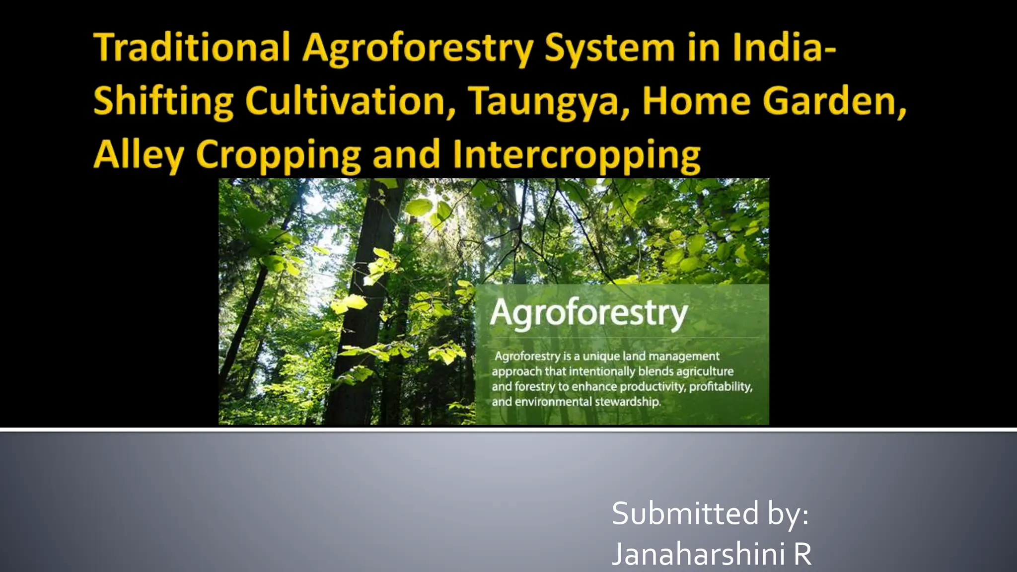 Traditional Agroforestry System in India- Shifting Cultivation, Taungya ...