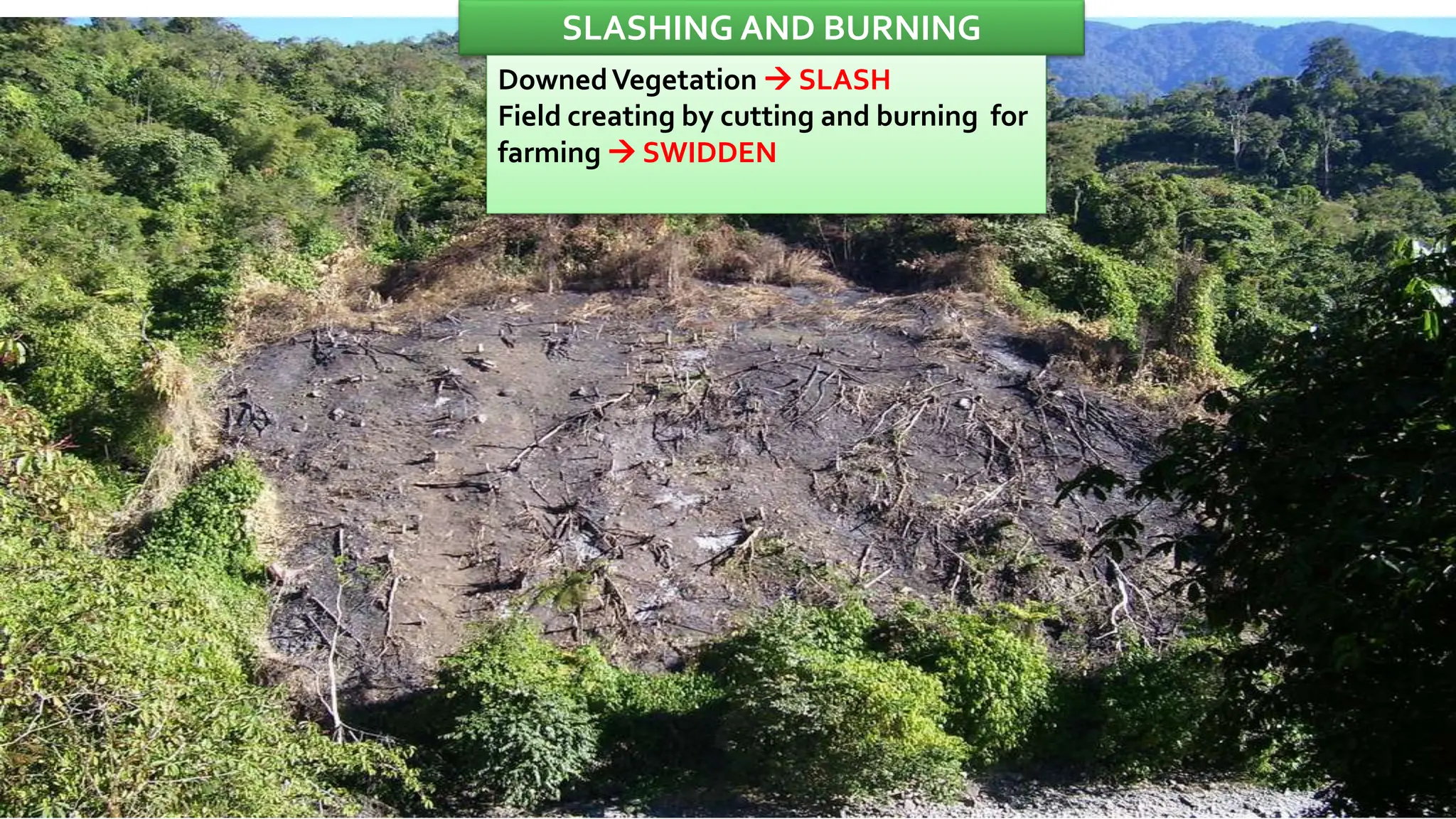 Traditional Agroforestry System in India- Shifting Cultivation, Taungya ...