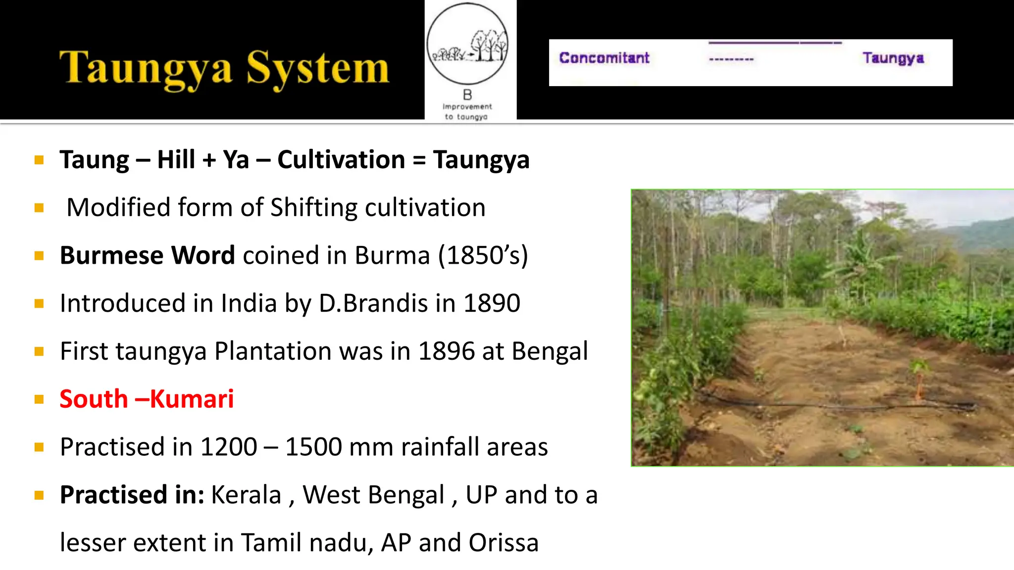 Traditional Agroforestry System in India- Shifting Cultivation, Taungya ...