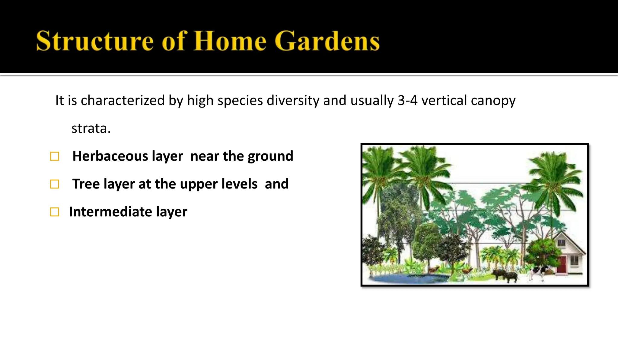 Traditional Agroforestry System in India- Shifting Cultivation, Taungya ...