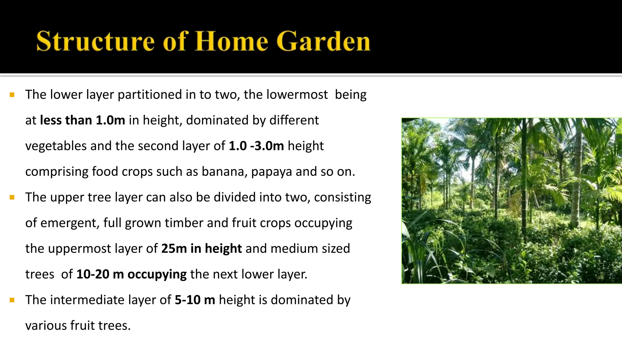 Traditional Agroforestry System in India- Shifting Cultivation, Taungya ...
