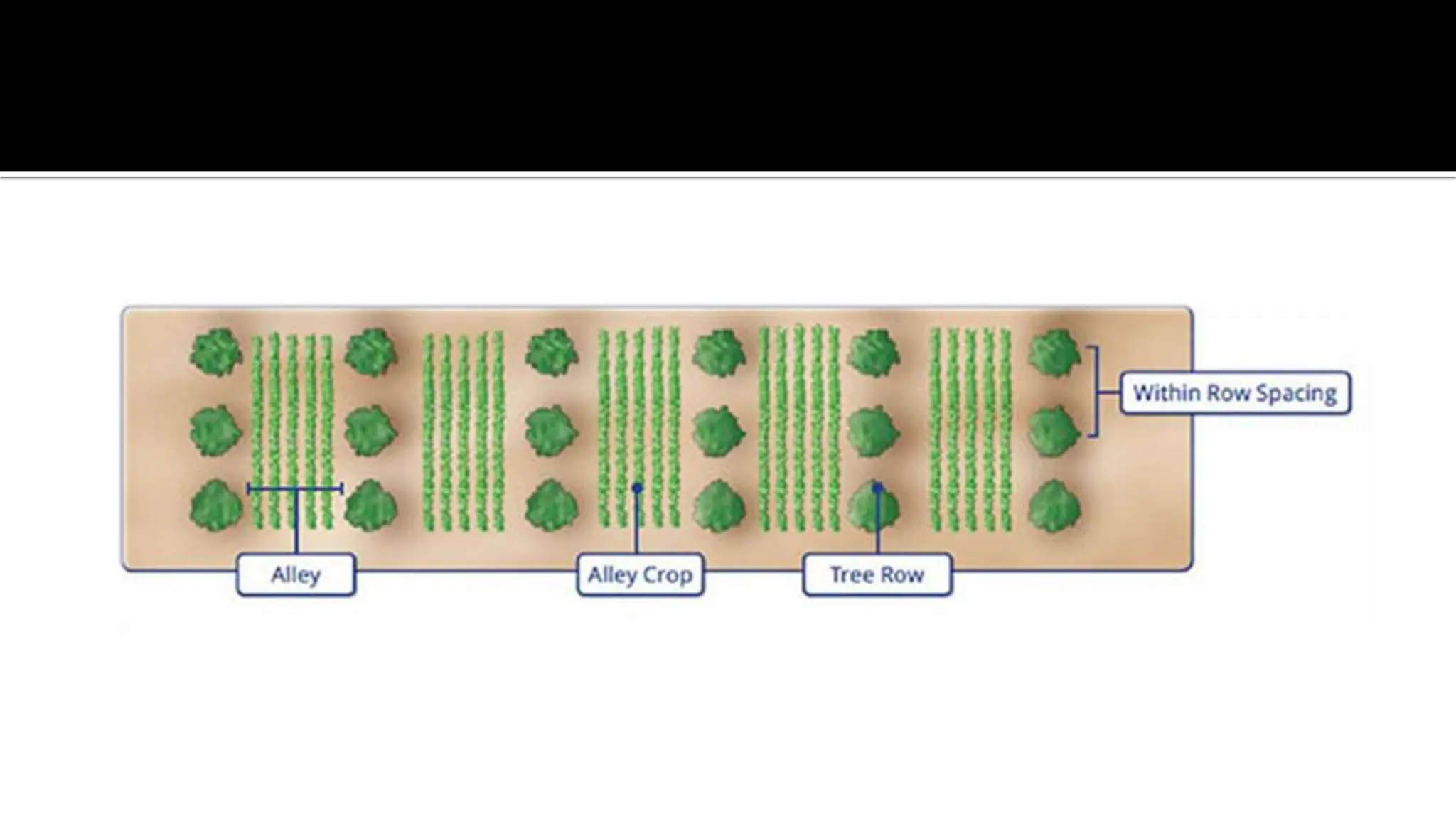 Traditional Agroforestry System in India- Shifting Cultivation, Taungya ...