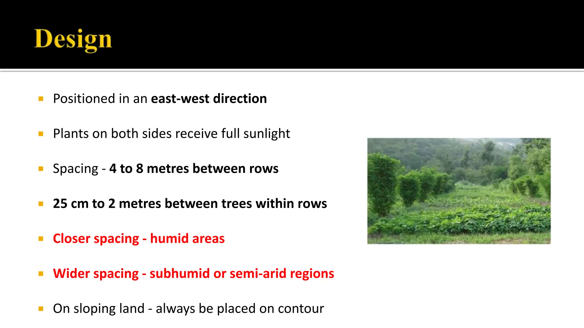Traditional Agroforestry System in India- Shifting Cultivation, Taungya ...