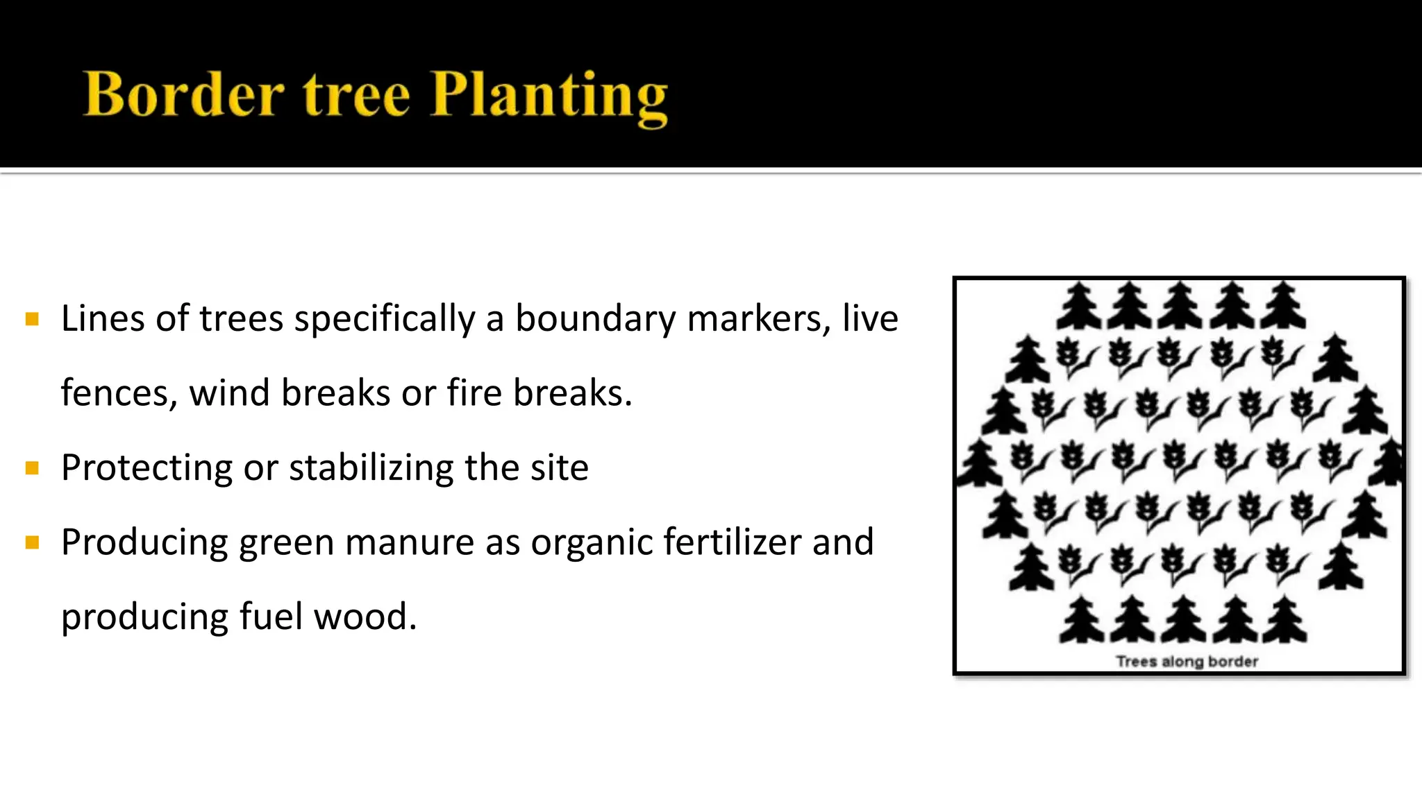 Traditional Agroforestry System in India- Shifting Cultivation, Taungya ...