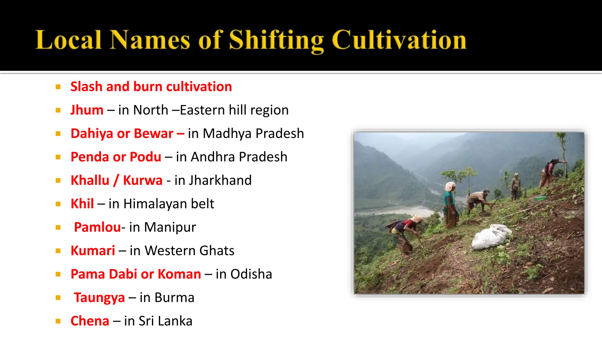 Traditional Agroforestry System in India- Shifting Cultivation, Taungya ...