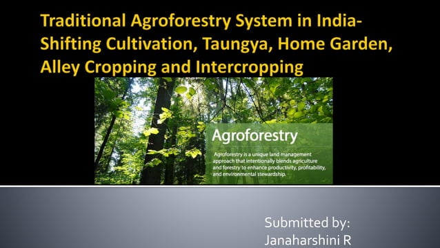 Traditional Agroforestry System in India- Shifting Cultivation, Taungya, Home Garden, Alley ...