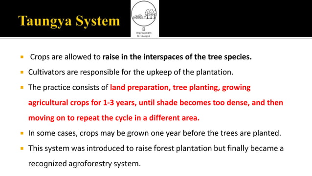 Traditional Agroforestry System in India- Shifting Cultivation, Taungya ...