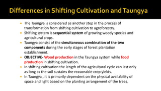 Traditional Agroforestry System in India- Shifting Cultivation, Taungya ...