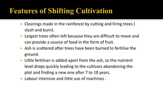 Traditional Agroforestry System in India- Shifting Cultivation, Taungya ...