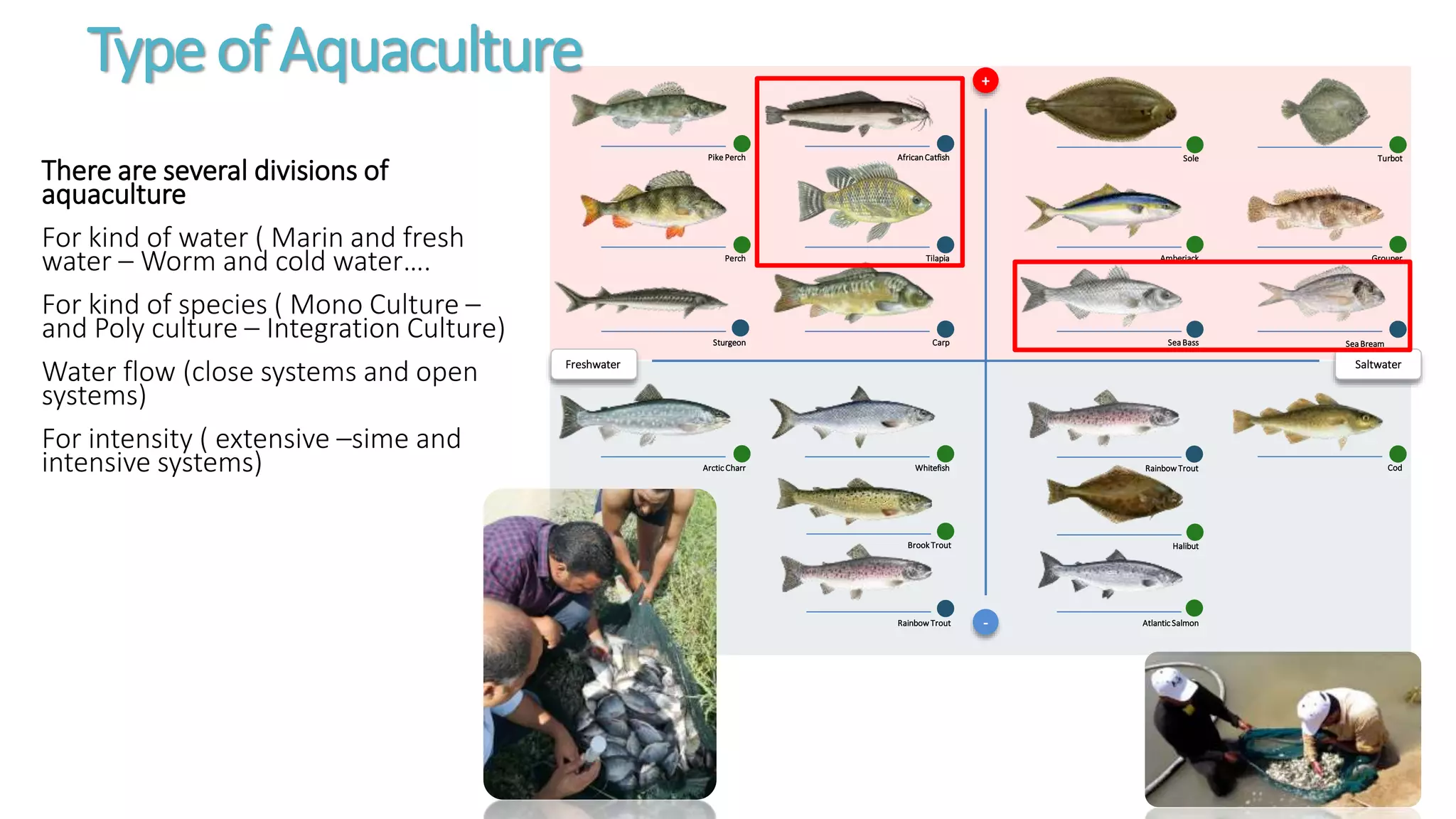 Traditional and Modern of Aquaculture systems | PDF