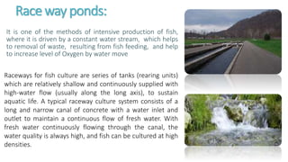Traditional and Modern of Aquaculture systems | PDF