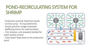 Traditional and Modern of Aquaculture systems | PDF