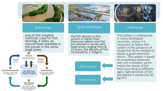 Traditional and Modern of Aquaculture systems | PDF