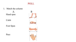 Traditional and standard method of measurement.pptx