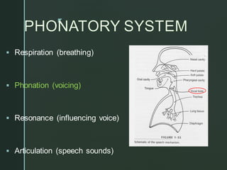 traditional approach of therapy and methods | PDF