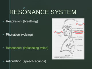 traditional approach of therapy and methods | PDF