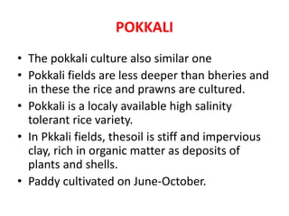 Traditional aquaculture in india | PPTX