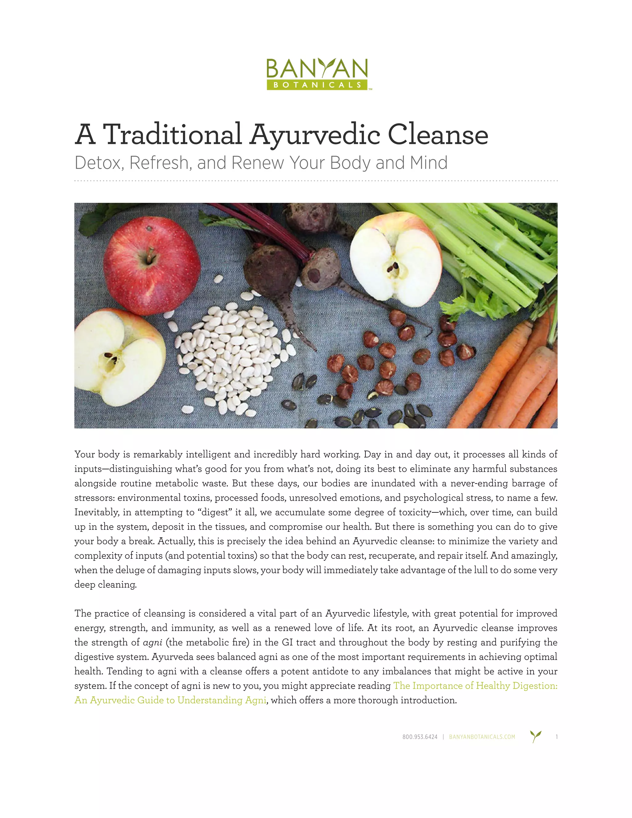 Traditional ayurvedic cleanse | PDF