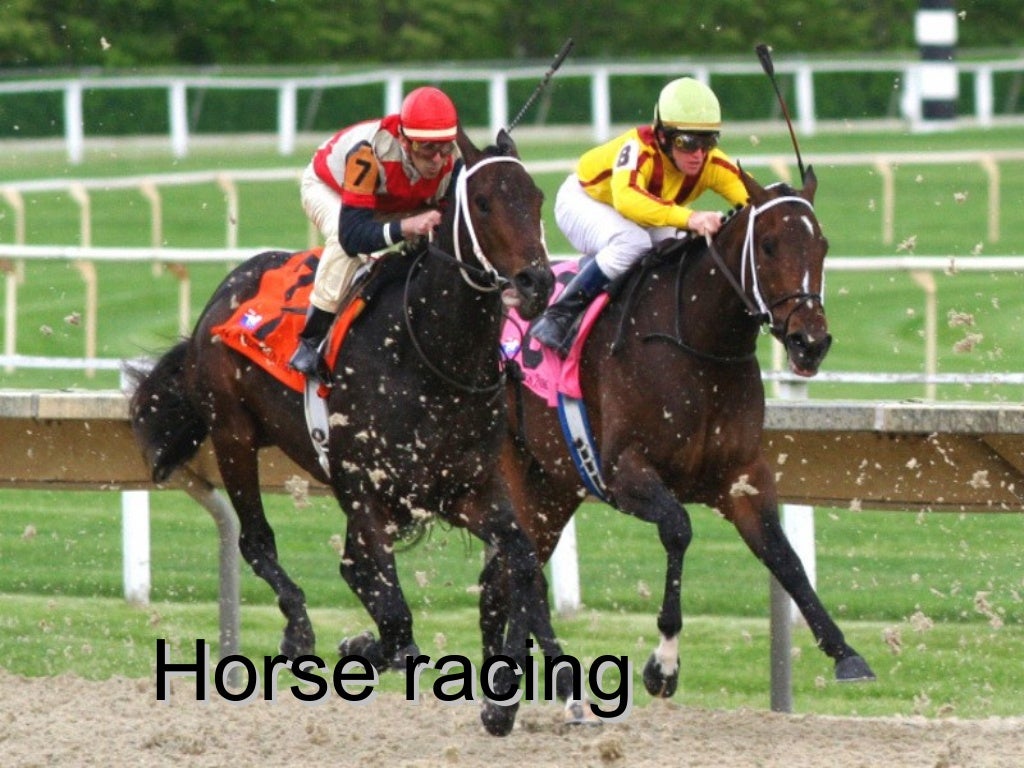 Traditional british sports