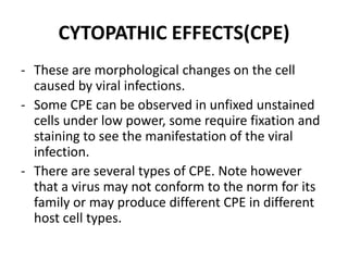 Traditional diagnostic tools used in viral diseases | PPTX