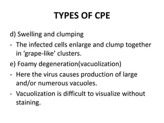 Traditional diagnostic tools used in viral diseases | PPTX