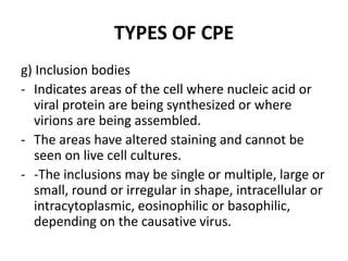 Traditional diagnostic tools used in viral diseases | PPTX