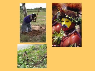 Traditional Economy In Africa