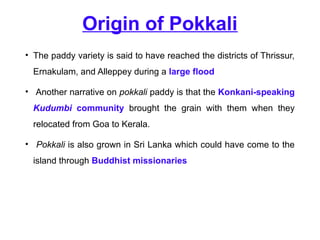 A Traditional fish farming - Pokkali.pptx