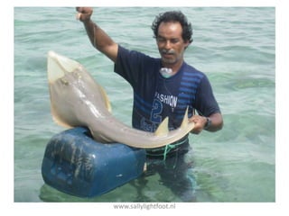 Traditional Fishing Yemen | PPT