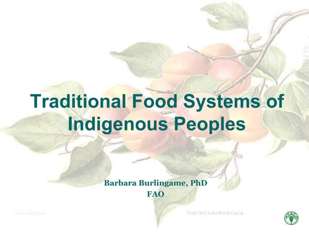 Traditional food systems | PDF