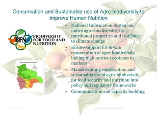 Traditional food systems | PDF