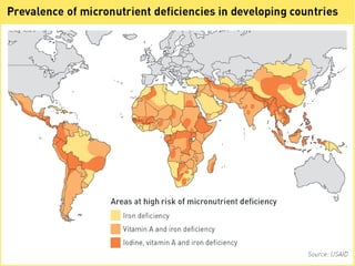 Traditional food systems | PDF