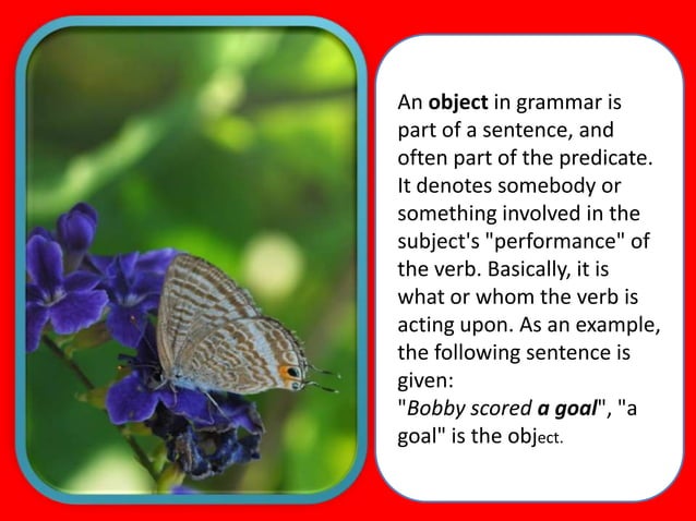 traditional-grammar