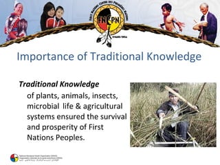 Cafe Scientifique: Protection of Traditional Knowledge | PPT