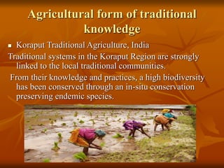 Traditional knowledge -concept folklore & forms of TK | PPT