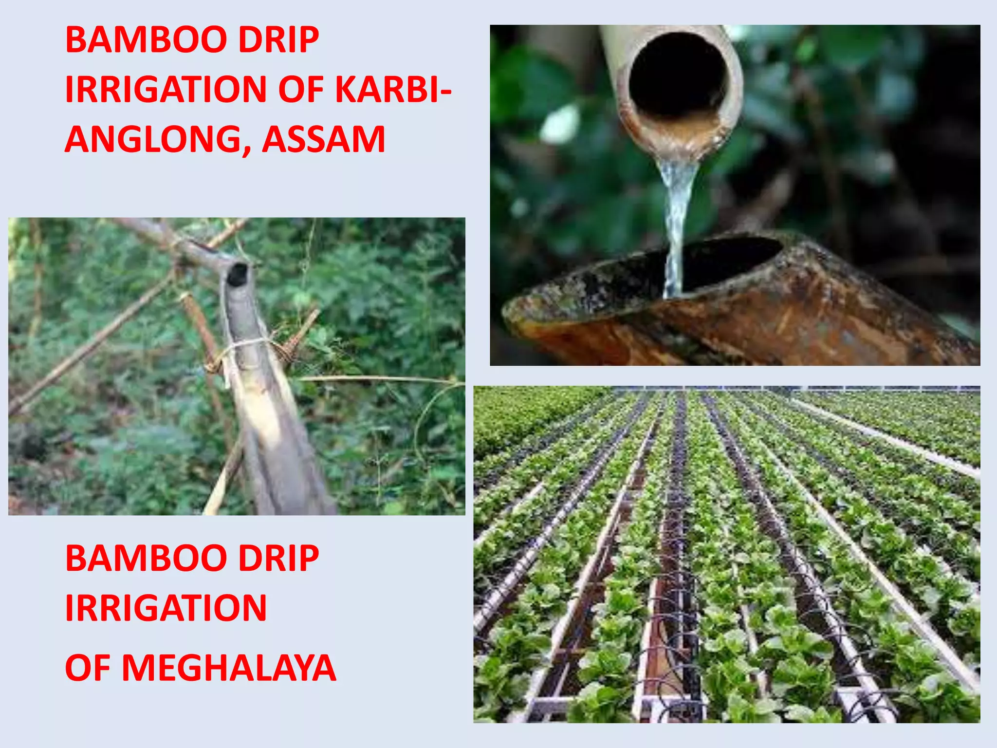 Traditional knowledge definition, scope and importance, Protection ...