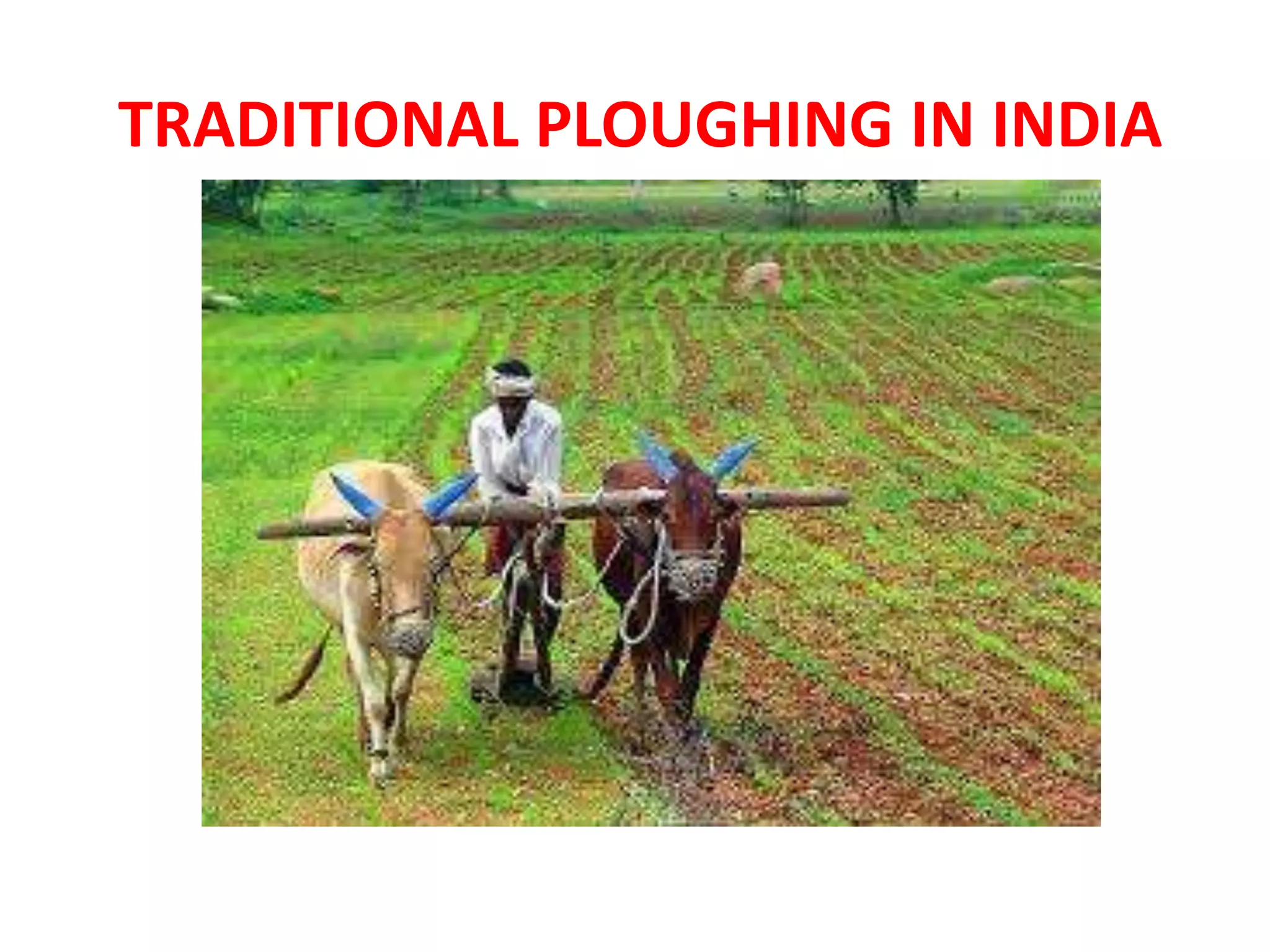 Traditional knowledge definition, scope and importance, Protection ...