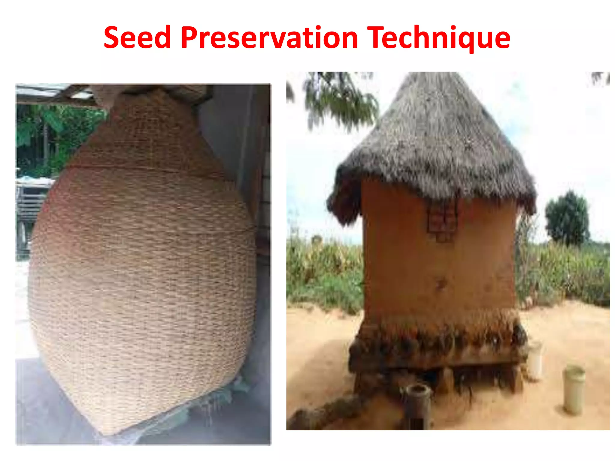 Traditional knowledge definition, scope and importance, Protection ...