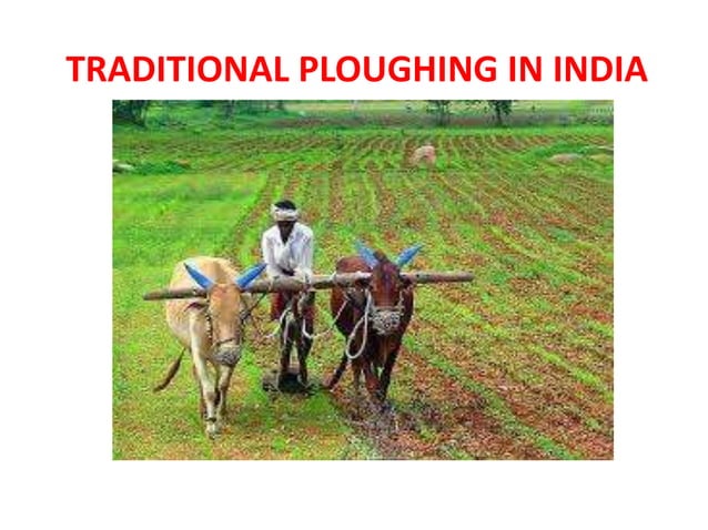 Traditional knowledge definition, scope and importance, Protection ...