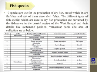 Traditional marketing channel of dry fish in digha coast of west bengal ...