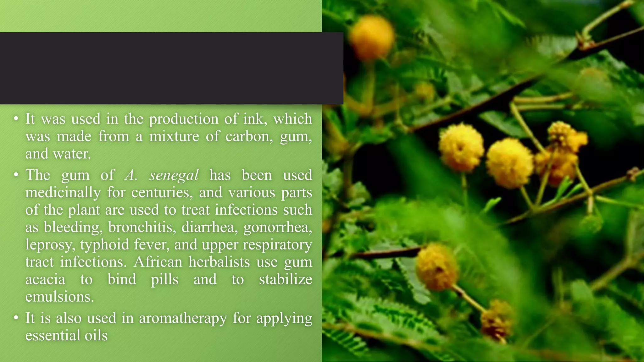 Traditional medications | PPT