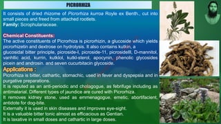 Plants in complimentary and traditional systems of medicine MANIKanik | PDF