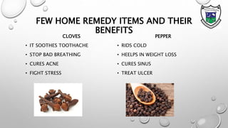 Traditional medicines to fight against diseases | PPTX