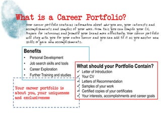 Traditional portfolios | PDF