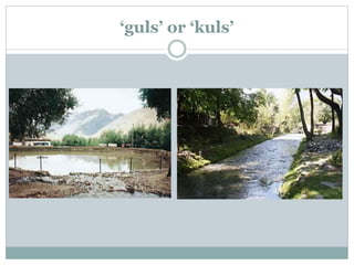 Traditional rainwater harvesting | PPTX