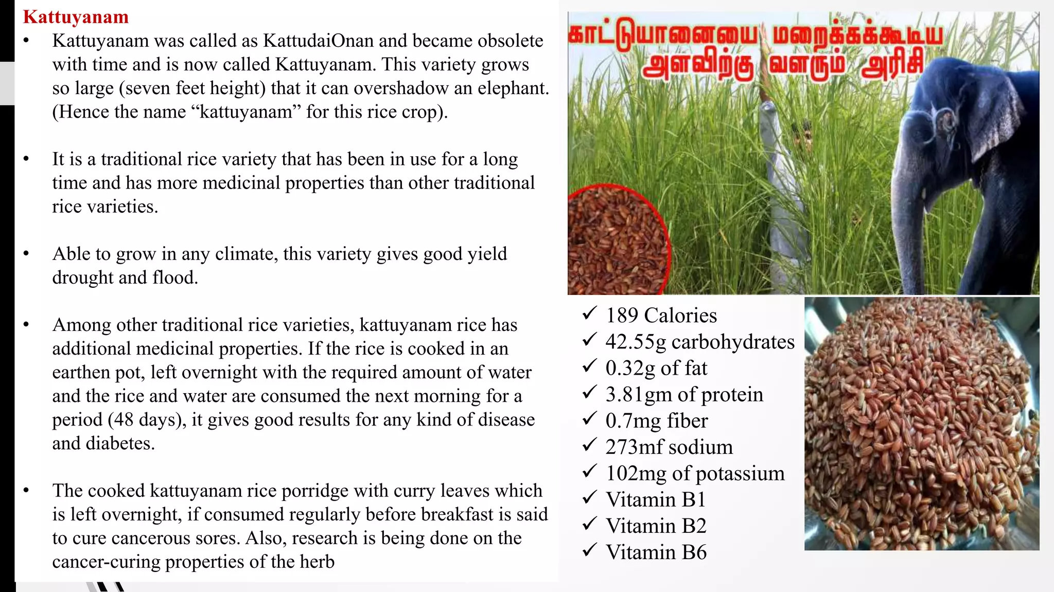 Traditional Rice Varieties In Cauvery Delta Zone Pptx