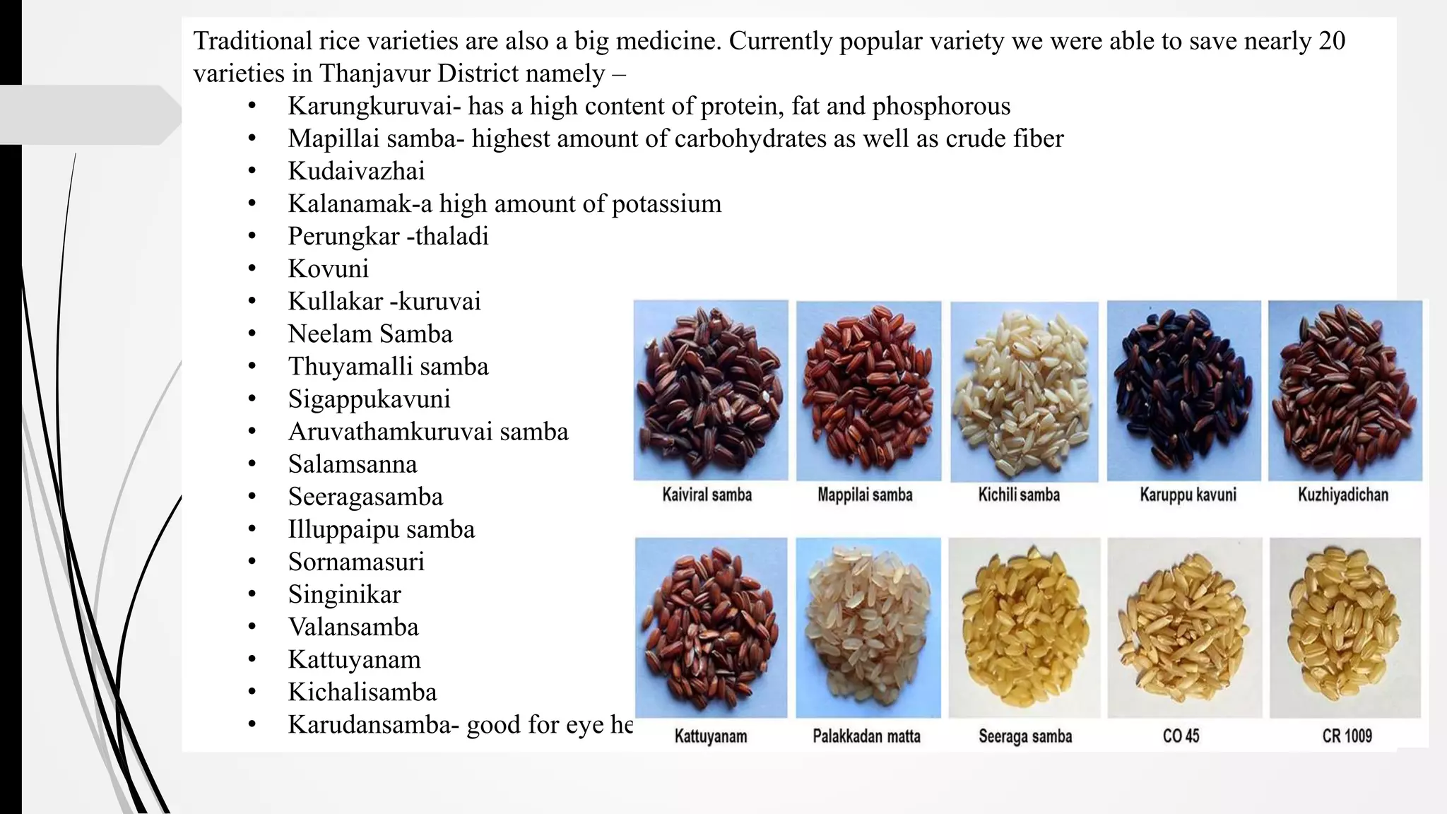 TRADITIONAL RICE VARIETIES IN CAUVERY DELTA ZONE.pptx